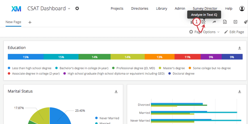 Text iQ Table Widget (CX)