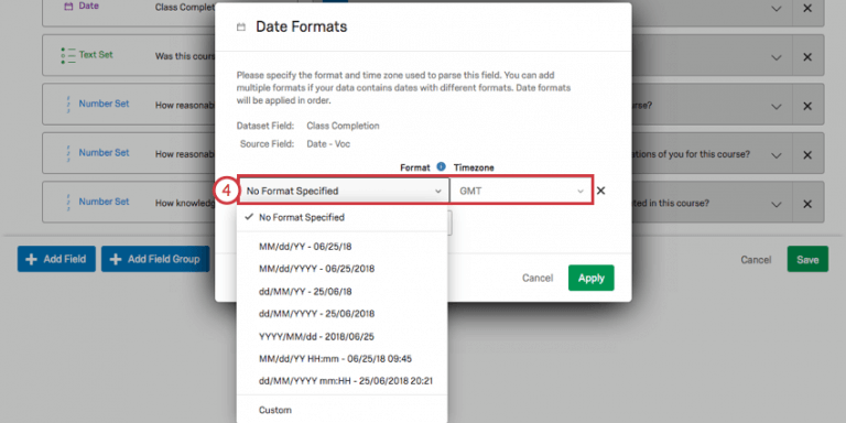 Date Field Format (CX)