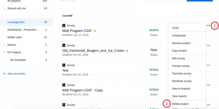 Organizing & Viewing Your Projects