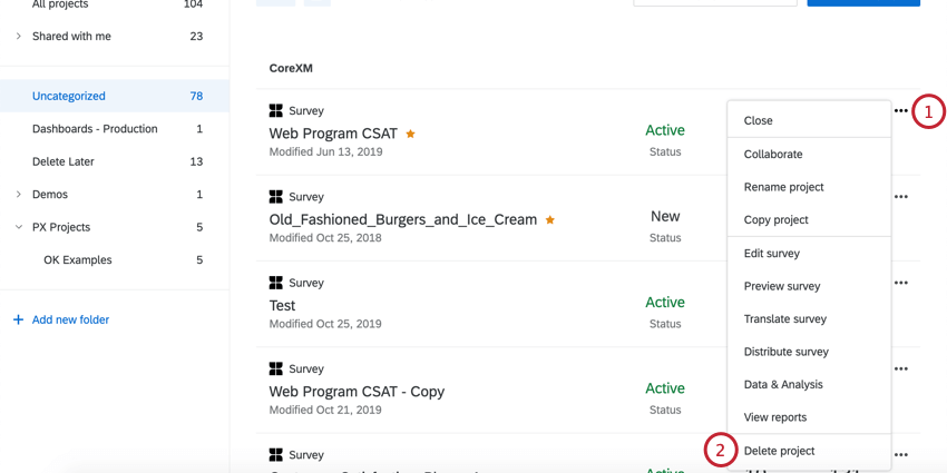 Organizing & Viewing Your Projects