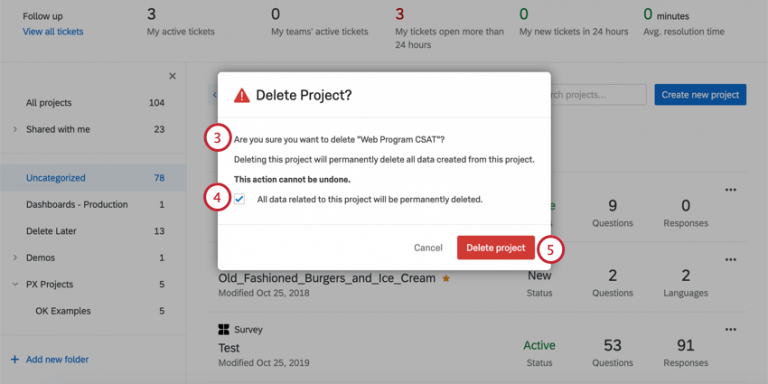 Organizing & Viewing Your Projects