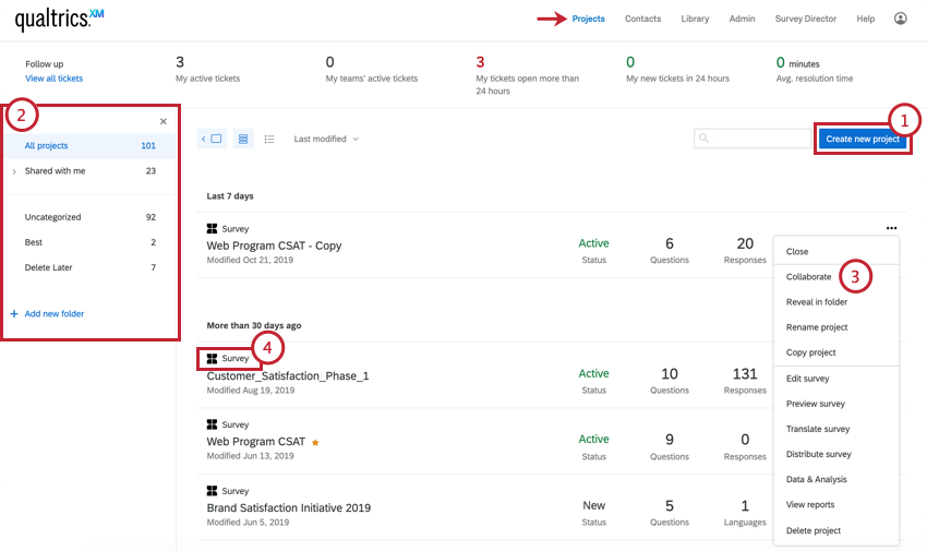 Project Overview Statement Sample | Master of Template Document