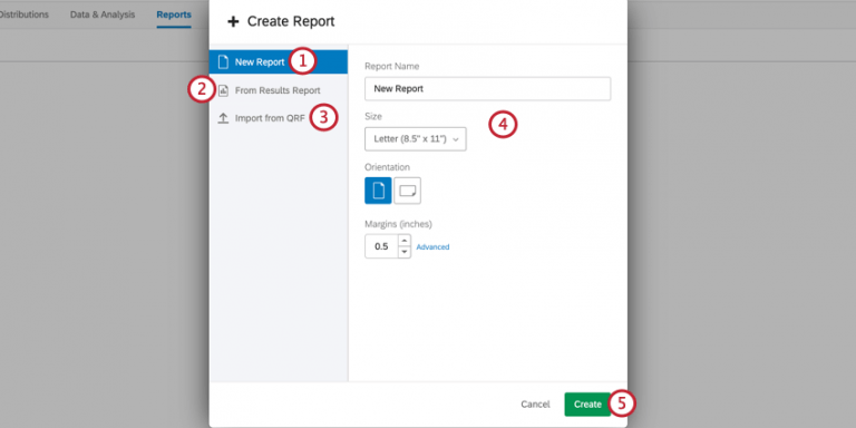 Advanced-Reports Basic Overview