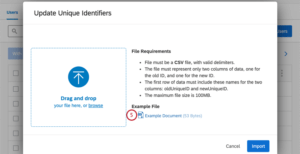 Unique Identifiers (CX)