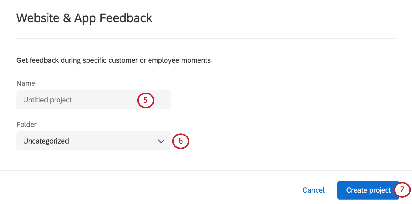 Creating a Website & App Feedback Project