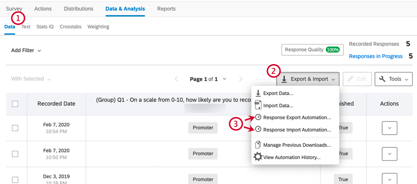 Response Import & Export Automations