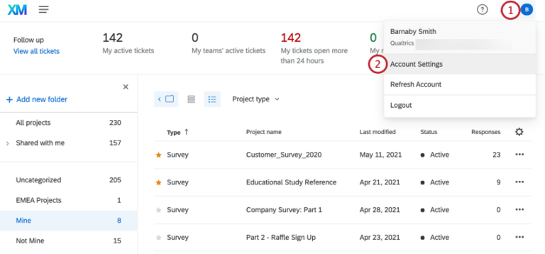 API Extension Basic Overview