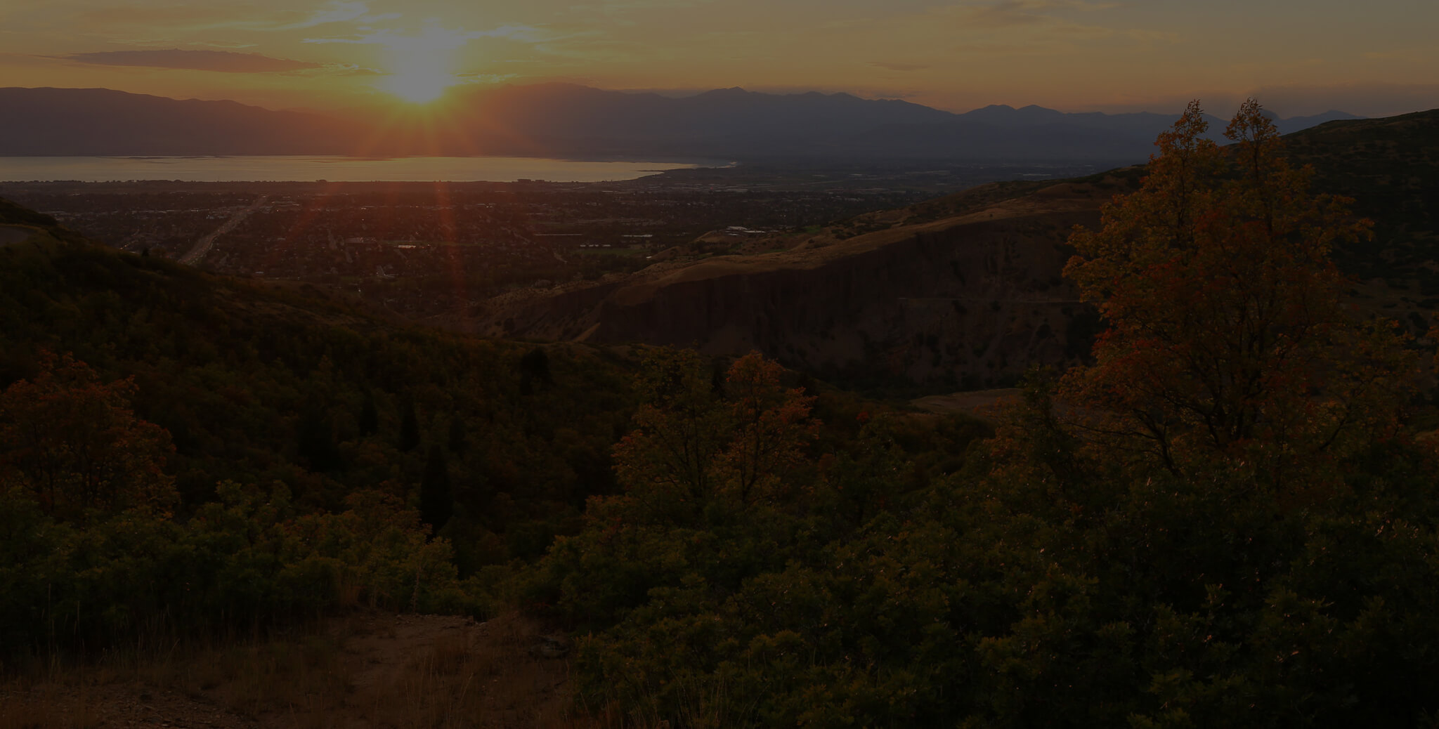 Provo City Experience Program with Qualtrics